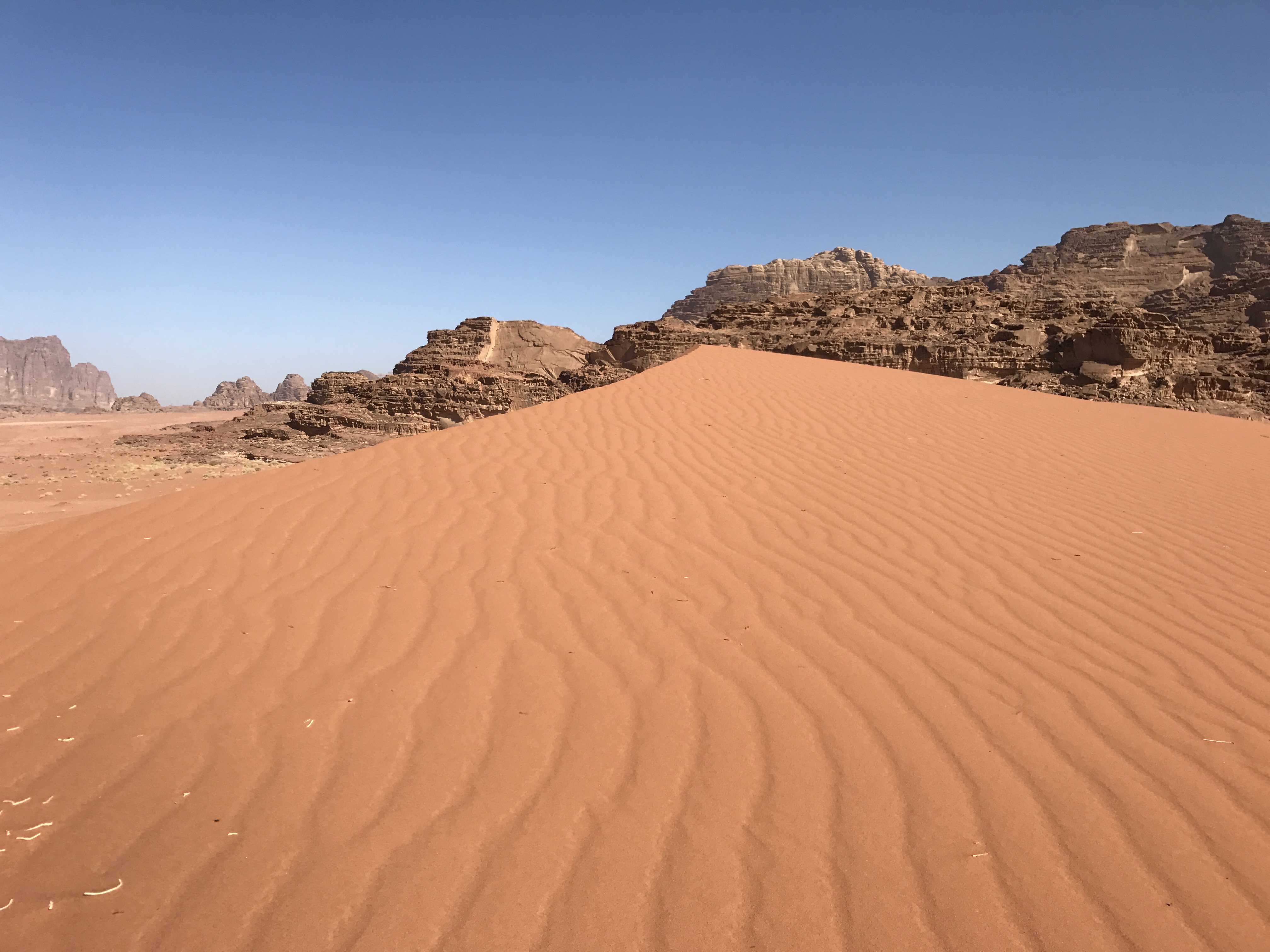 Jordan – the triketora press