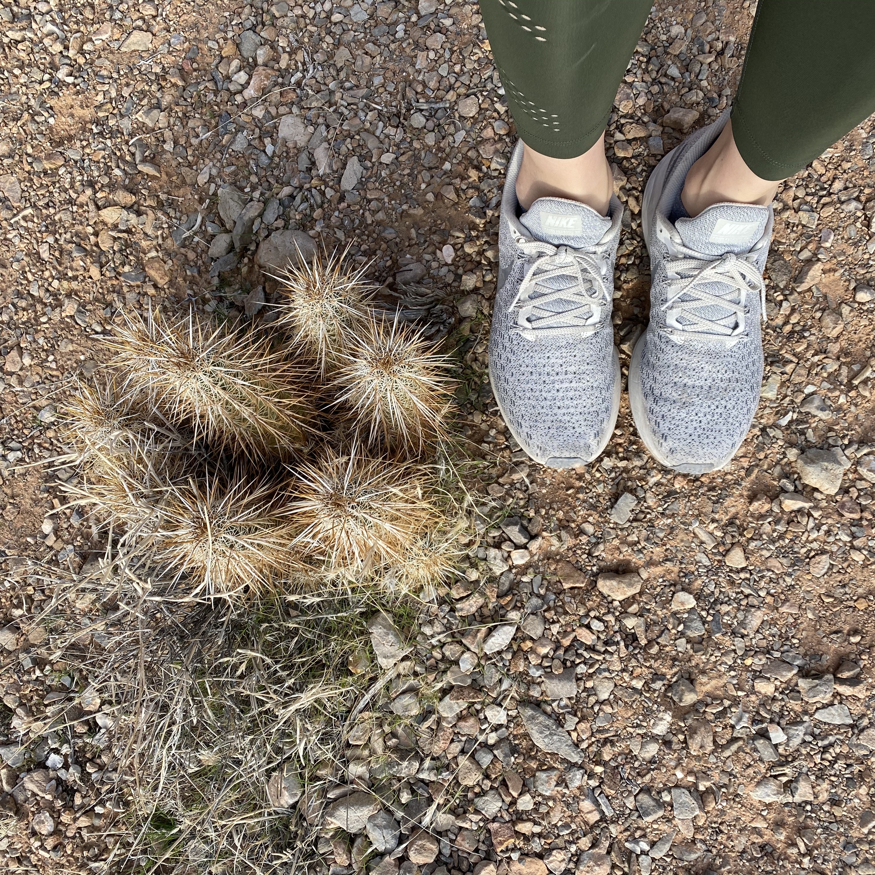 Trail running – the triketora press